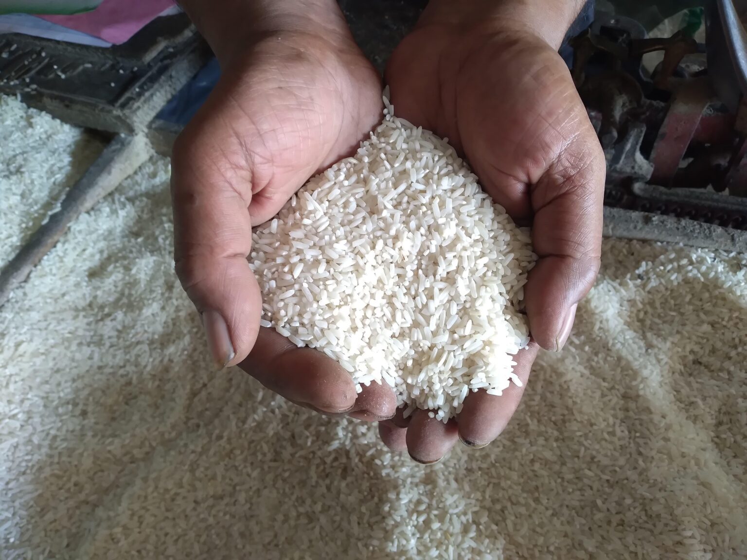 Kota Blitar Masih Surplus Beras, Kenaikan Harga di Pasar Tak Picu Kepanikan