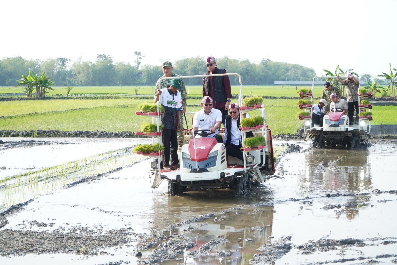 Dari Drone hingga Combine Harvester, Modernisasi Pertanian Lamongan ...